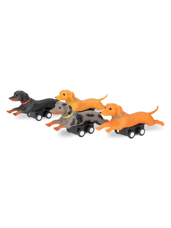 Racing Wiener Dogs (Single, Assorted) – Edge of Urge